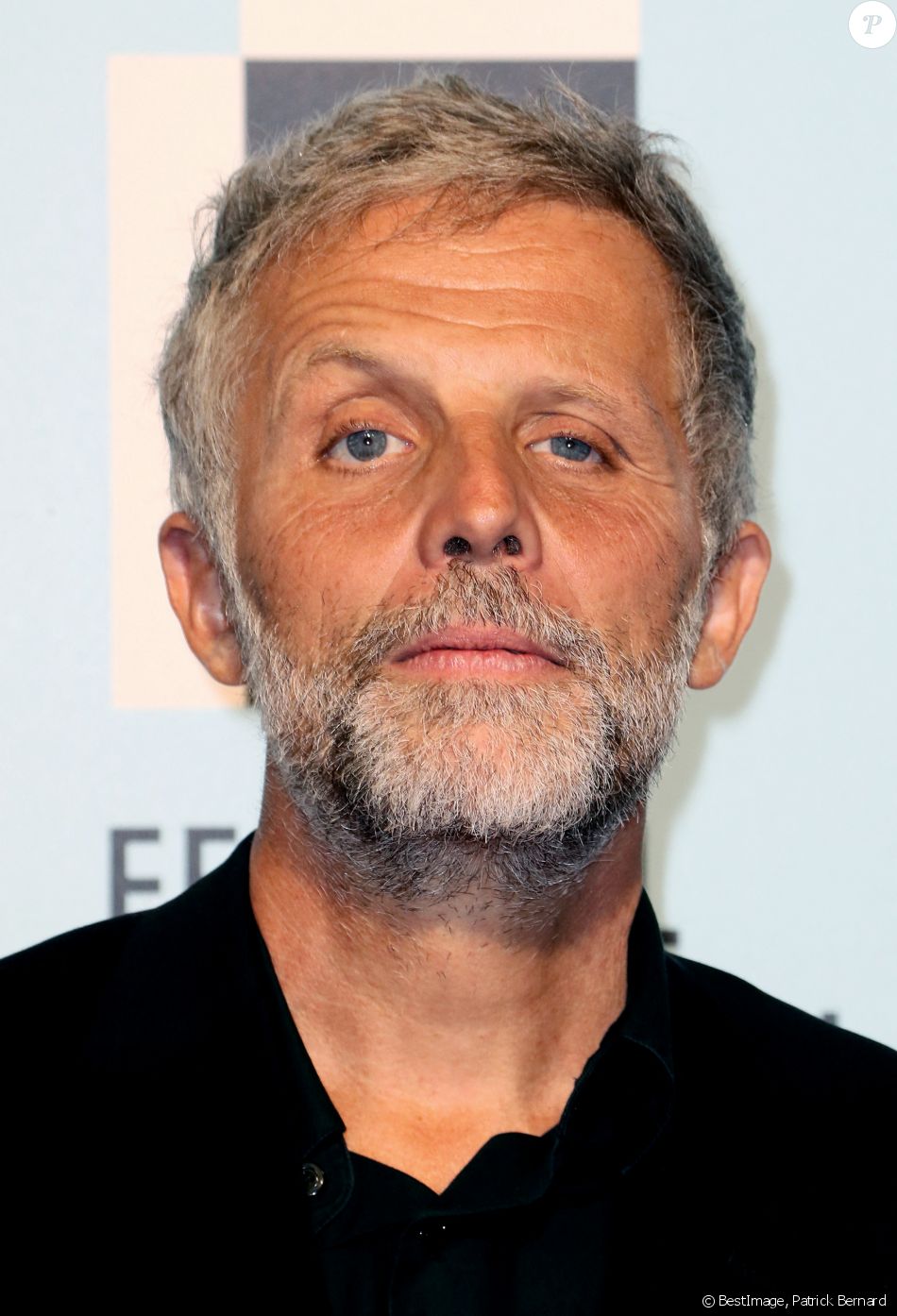 Stéphane Guillon - Projection en avant-première de la série de TF1 Le ...