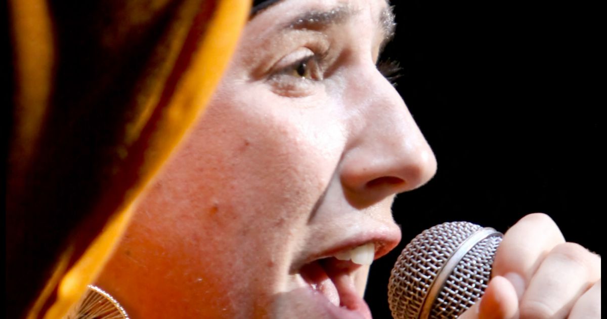 Diam's au Zénith de Paris - Purepeople