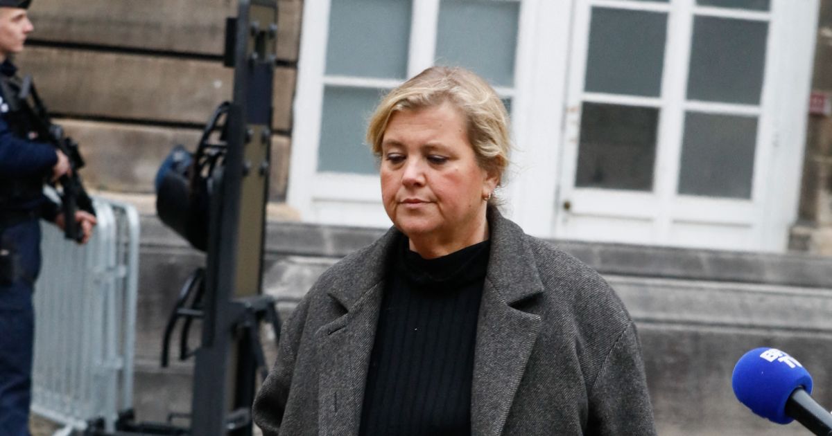 Céline Lasek, l'avocate de Pierre Palmade, arrive à la Cour d'appel de ...