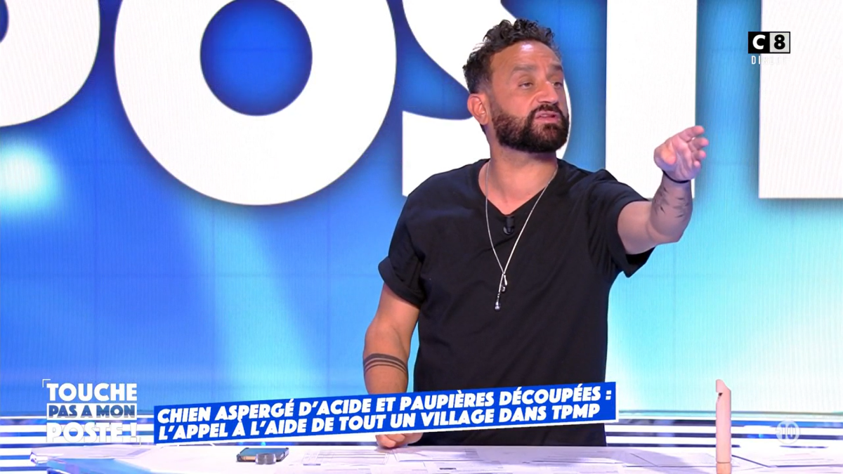 Photo : C'est une drôle de séquence à laquelle nous venons d'assister ...