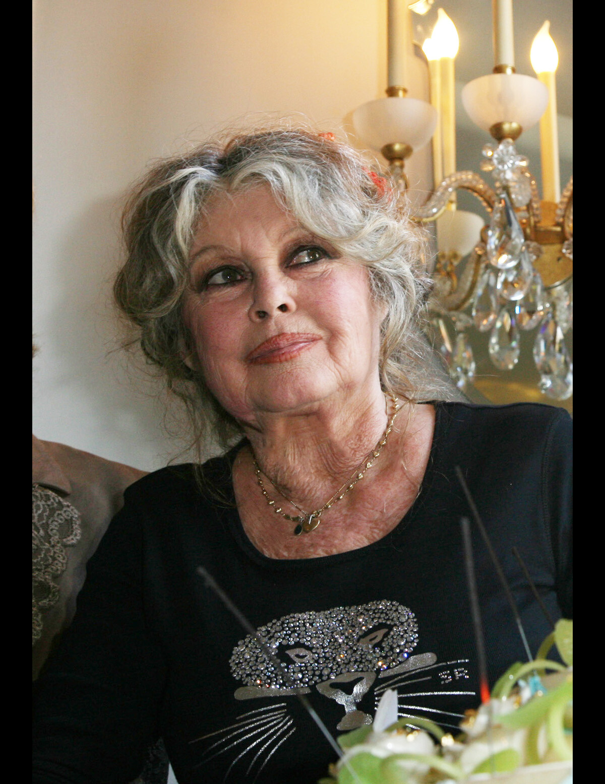 Photo : Brigitte Bardot lors des 20 ans de la Fondation Brigitte Bardot ...