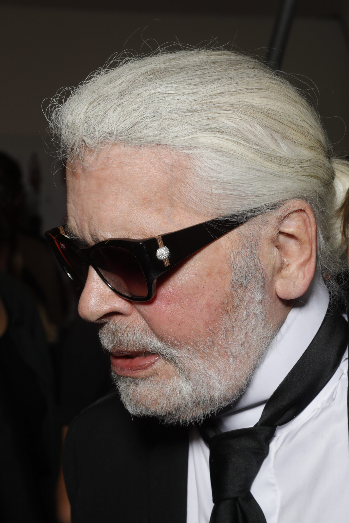 Photo : Karl Lagerfeld Défilé Backstage Fendi "Collection Prêt-à-Porter ...