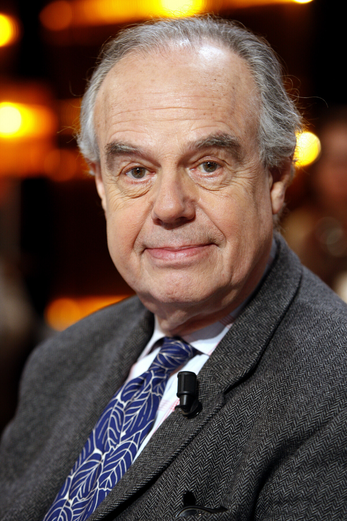 Photo : Portrait de Frederic Mitterrand 2015 - Purepeople