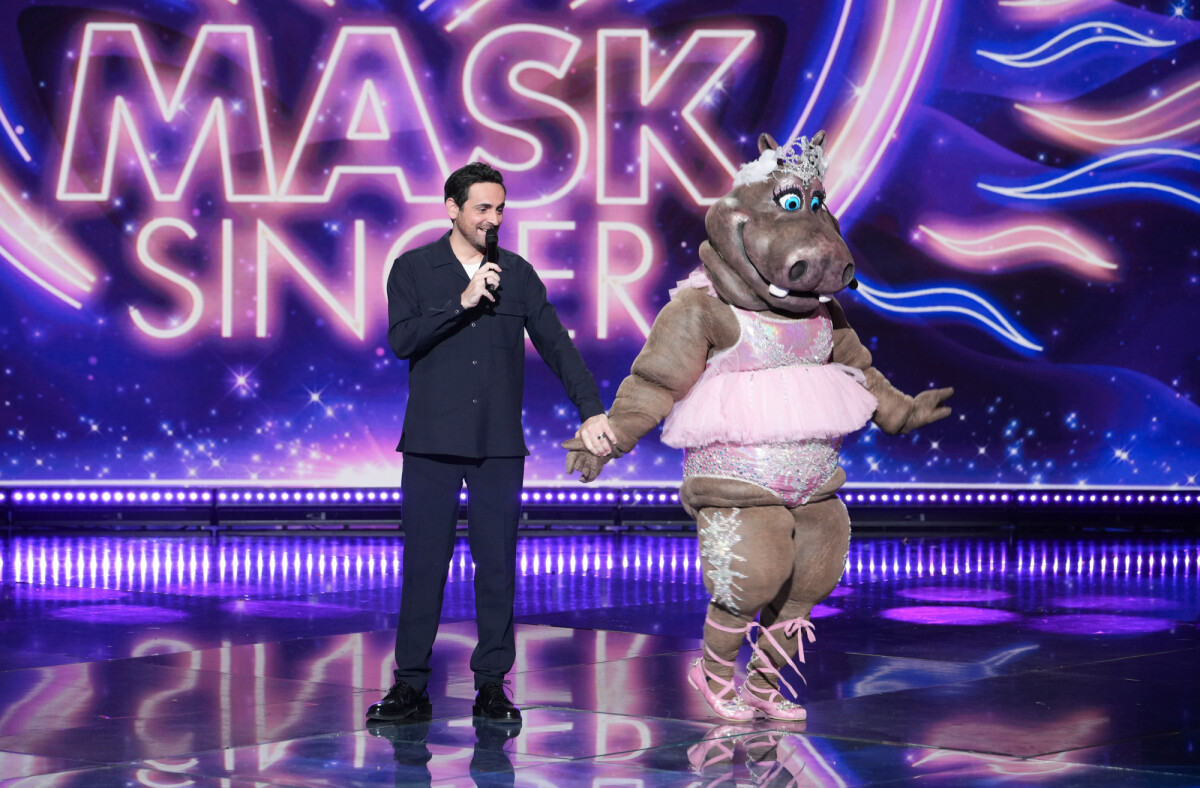Photo : L'Hippopotame de "Mask Singer 2024", photo officielle - Purepeople