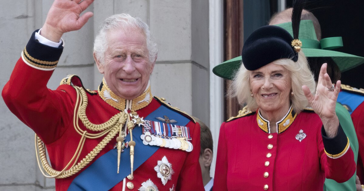 Charles III, un étonnant portrait officiel dévoilé : un détail jamais ...