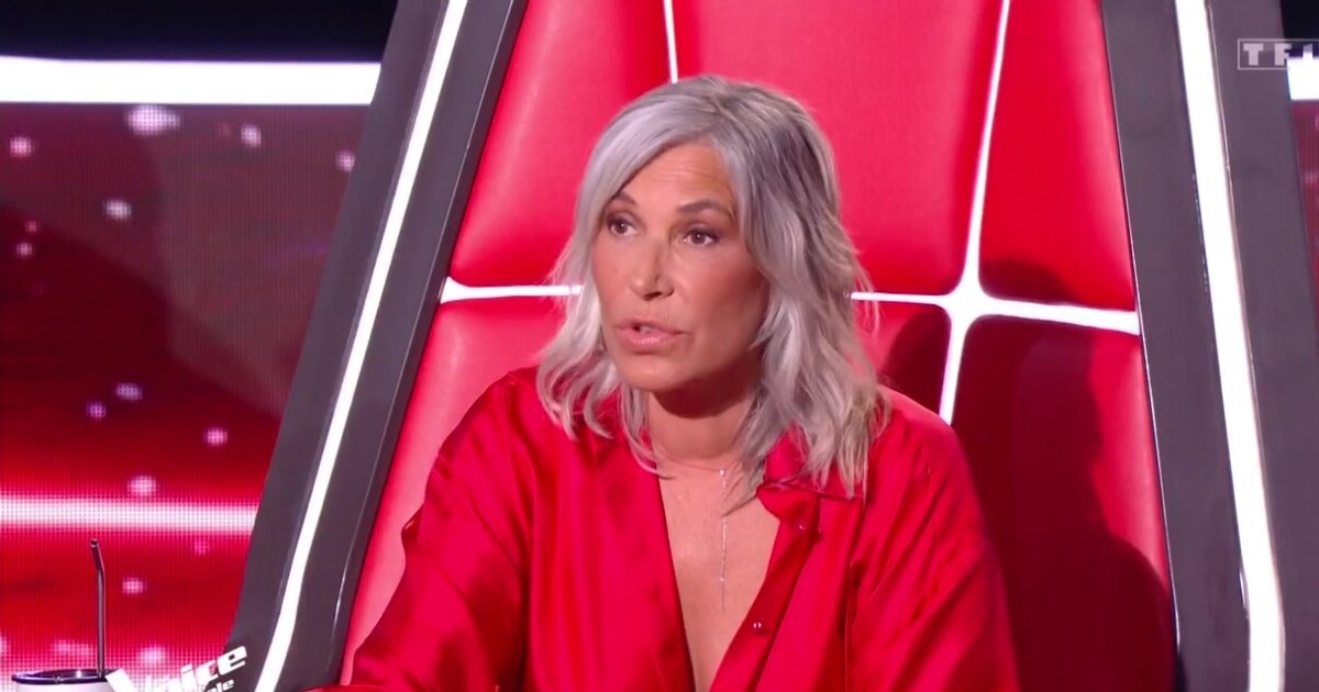 The Voice 2024 a son gagnant, un Talent étonnant qui a refusé la ...
