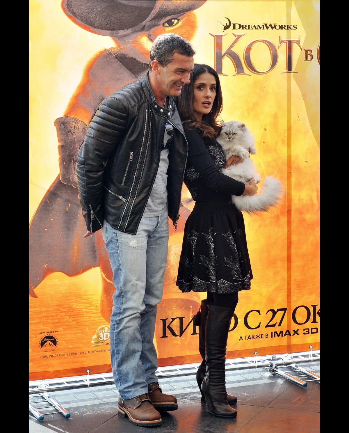 Photo : Antonio Banderas, Salma Hayek et un chat lors du photocall du ...