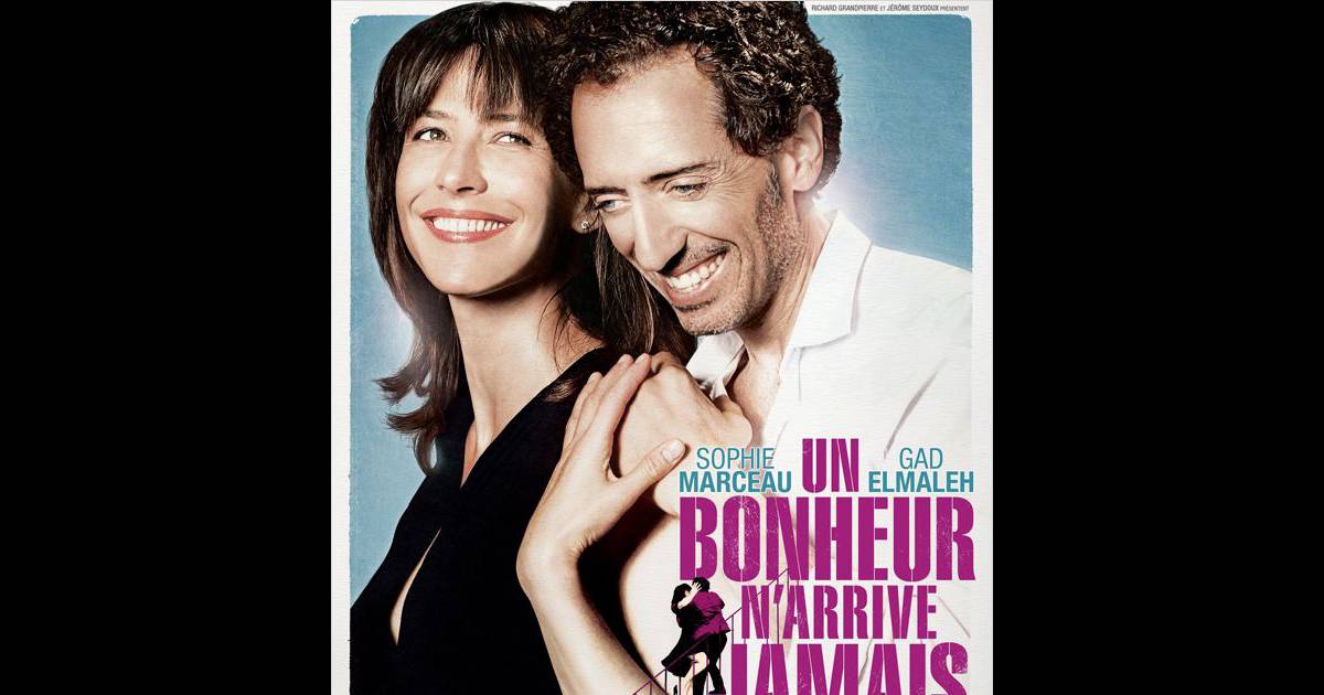 Affiche du film Un bonheur n'arrive jamais seul - Purepeople