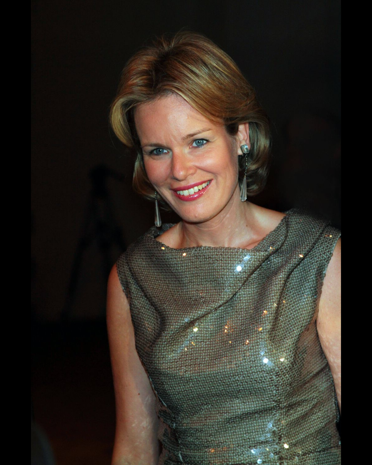 Photo : La princesse Mathilde accompagnait en beauté le prince Philippe ...