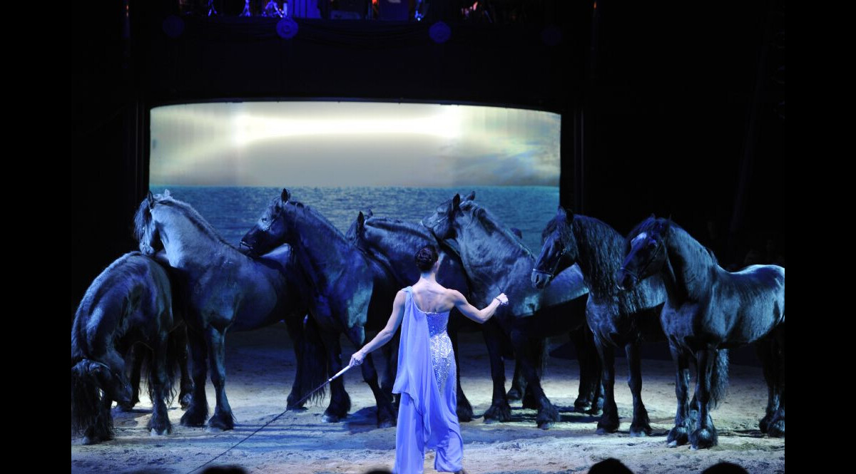Photo : Les chevaux du spectacle Ellipse face à une danseuse au Gala d ...