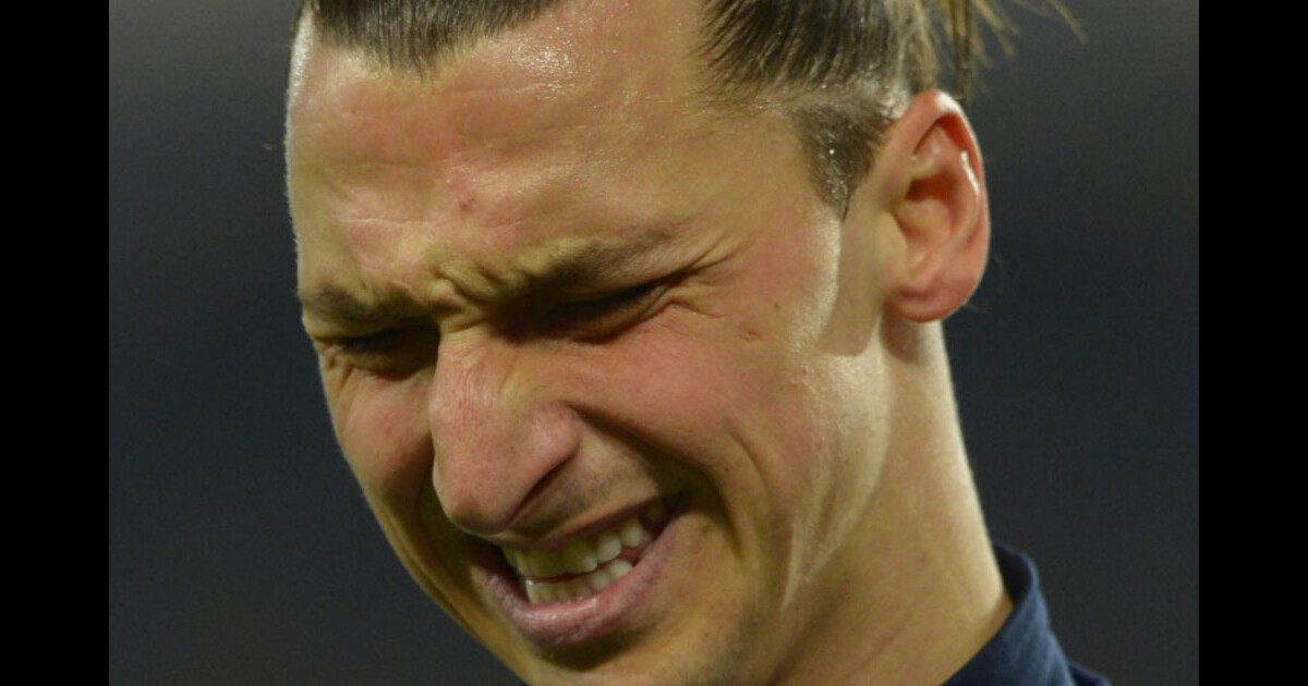 Zlatan Ibrahimovic : Zlataner n'entrera pas dans les dictionnaires ...