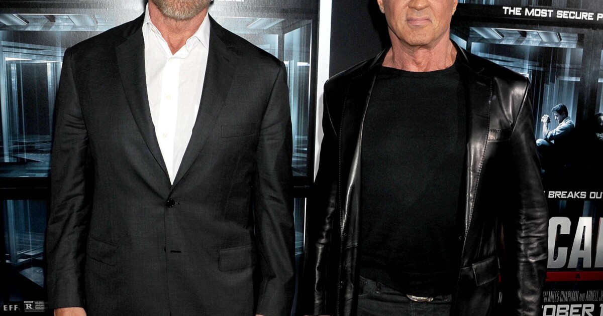 Sylvester Stallone : Un roc avec sa femme et son complice Schwarzy ...