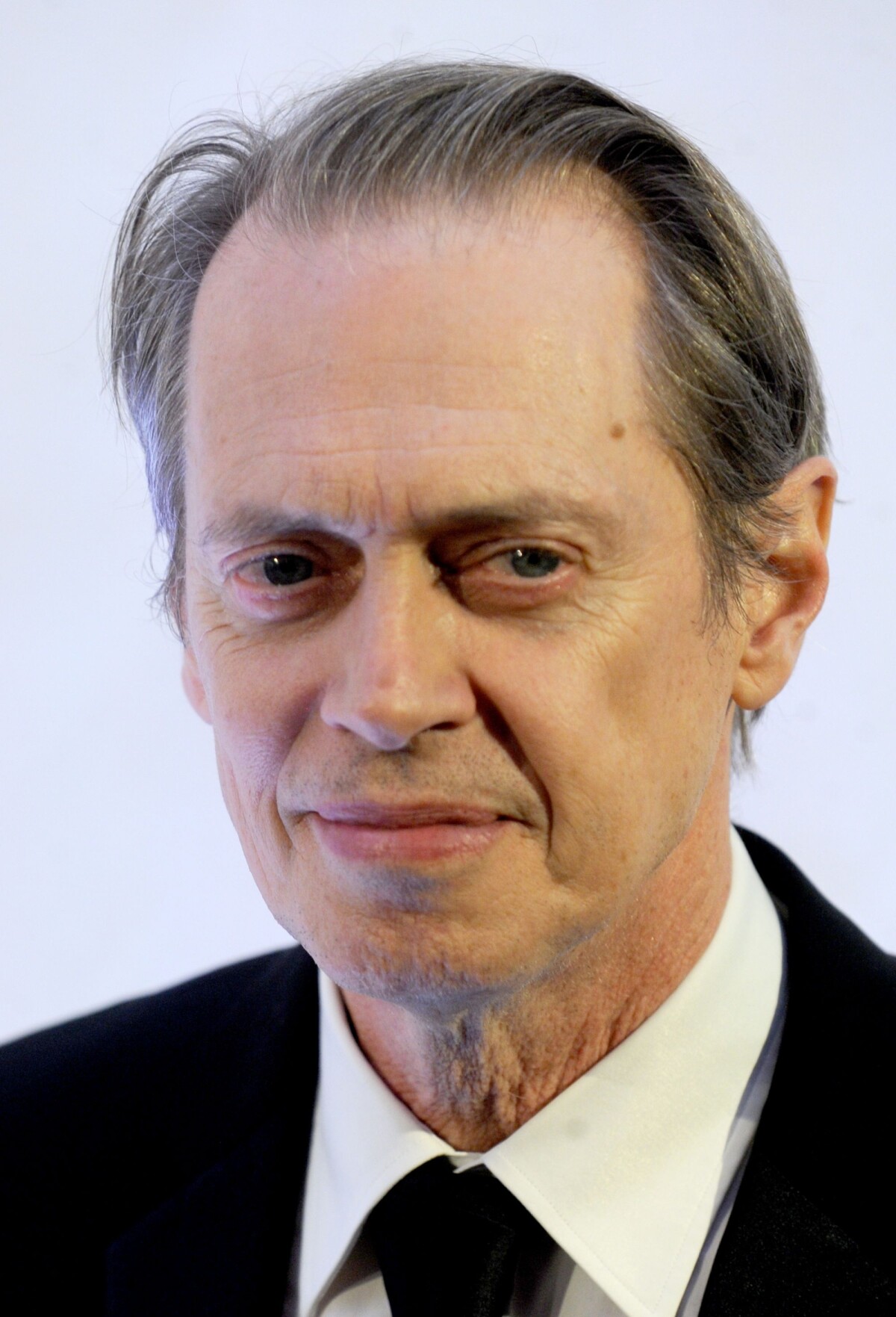 Photo : Steve Buscemi - Soirée en l'honneur de Julianne Moore au Museum ...