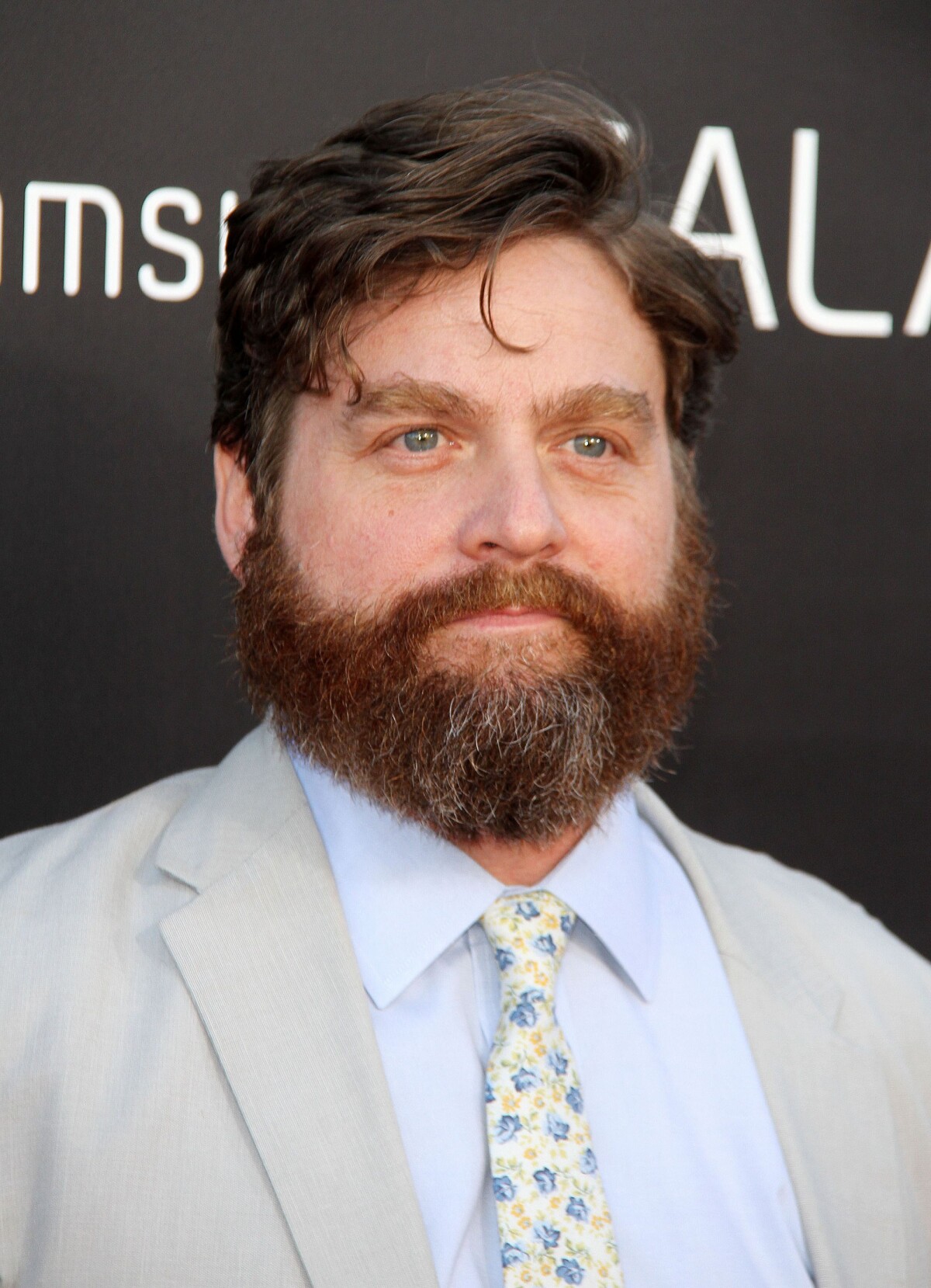 Photo : Zach Galifianakis - Avant-première de "Very Bad Trip 3" à ...
