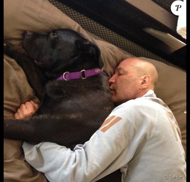 Sam Simon : Avant de mourir, ses dernières volontés pour son chien ...