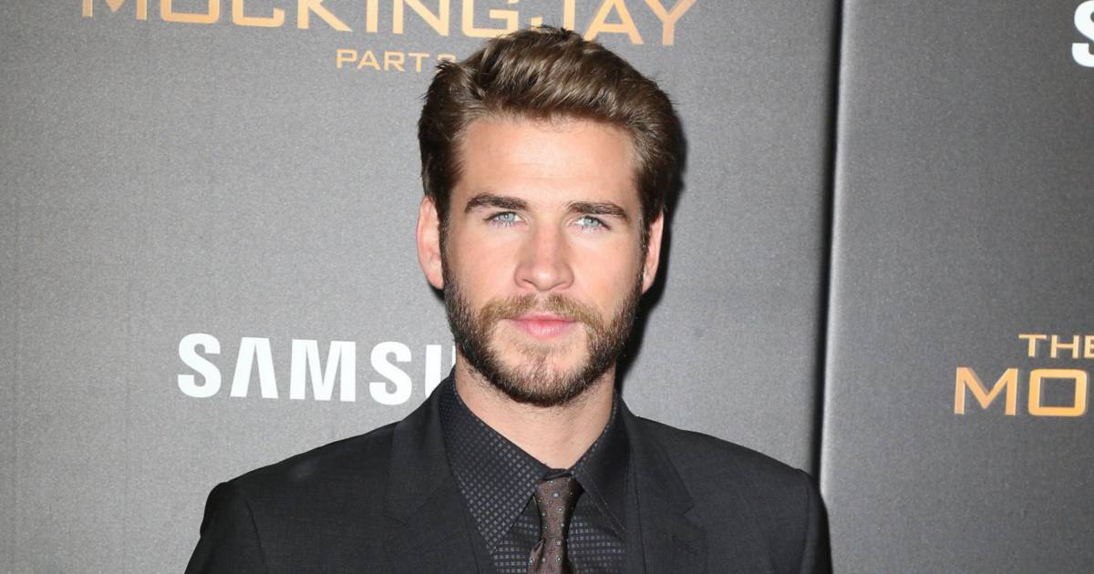 Liam Hemsworth à la première de 'The Hunger Games: Mockingjay Part 2' à ...