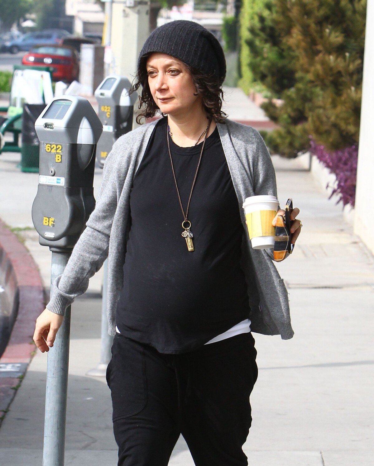 Photo : Exclusif - L'actrice Sara Gilbert, enceinte, et son épouse ...