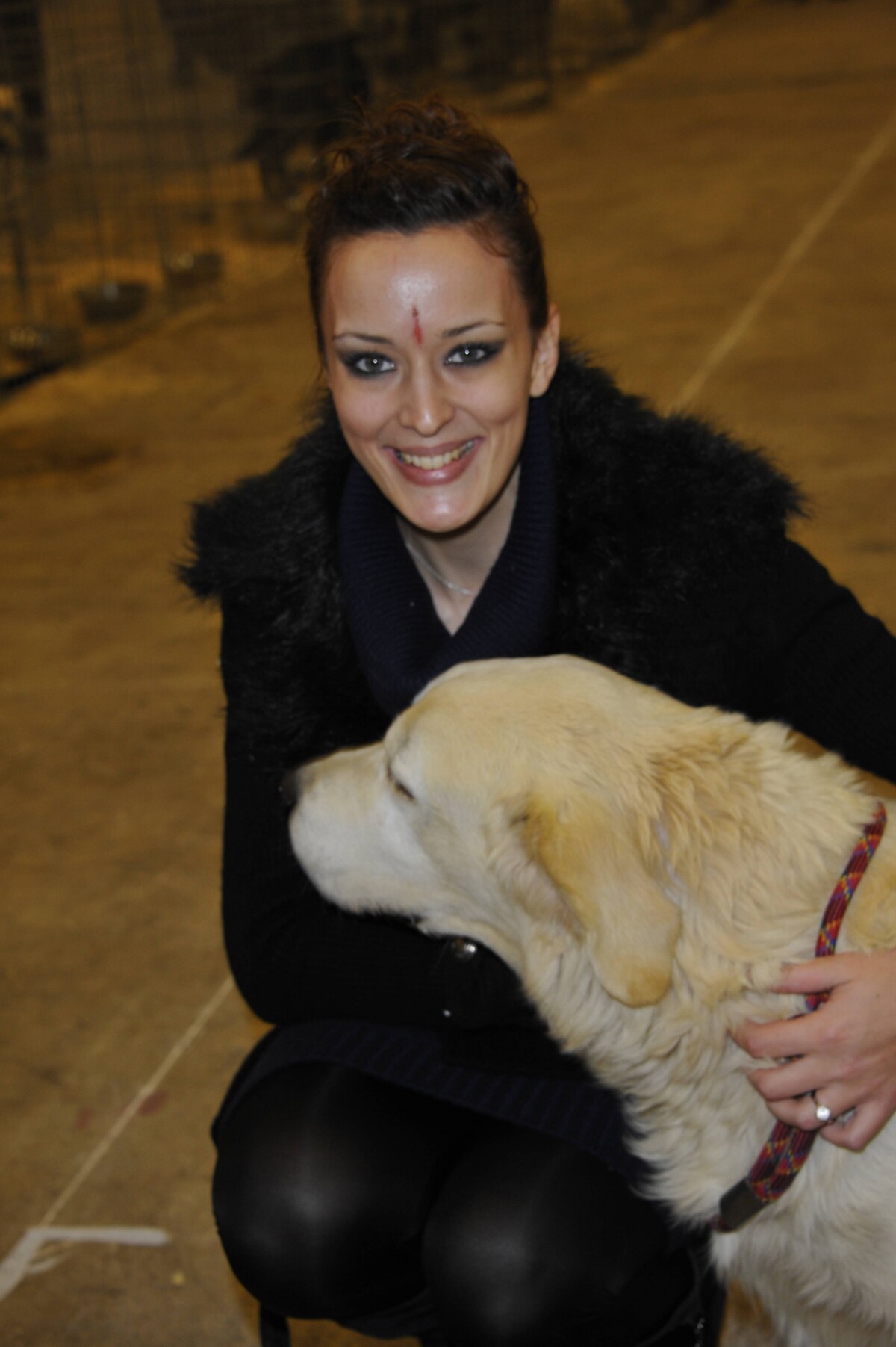Photo : KELLY BOCHENKO NOEL DE LA FONDATION ASSISTANCE AUX ANIMAUX, A ...