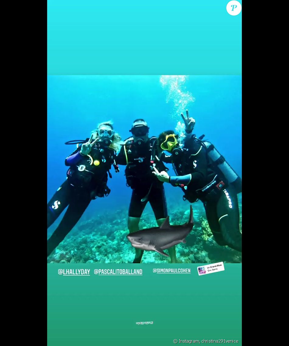 Laeticia Hallyday, son compagnon Pascal Balland et leurs amis en ...