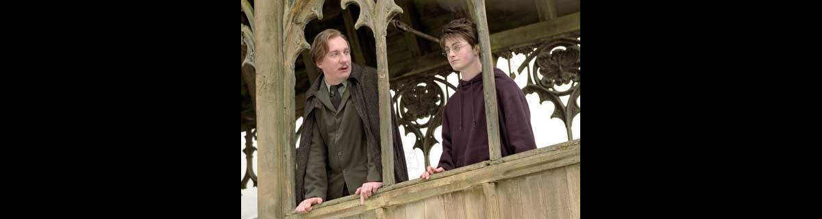Photo : Daniel Radcliffe David Thewlis dans le film "Harry Potter et le ...