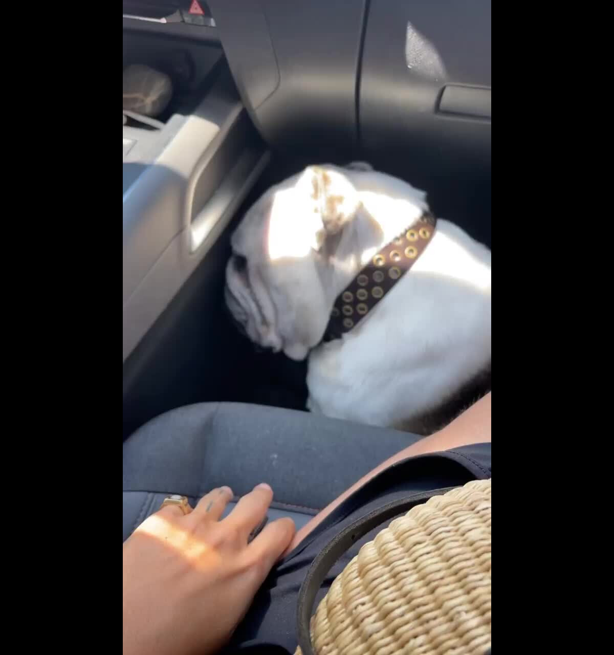 Vidéo : Lou Doillon et son fidèle compagnon en route pour Marseille ...