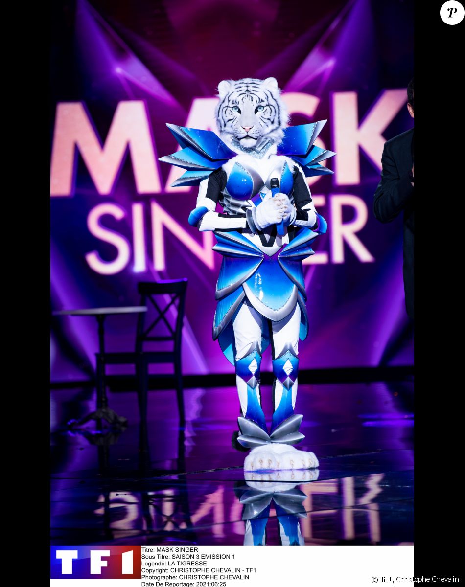 Mask Singer saison 3 : Découvrez les deux stars éliminées lors du 1er ...
