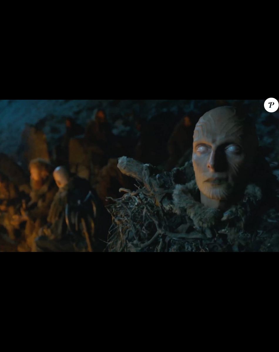 Game of Thrones : Une star de la série arrêtée pour "infraction ...