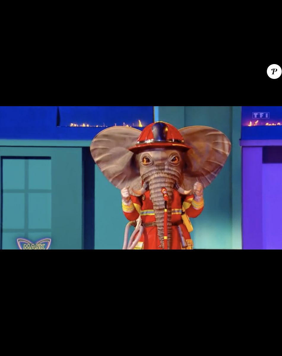 Mask Singer 4 - L'Eléphant démasqué : pas de surprise au moment de ...