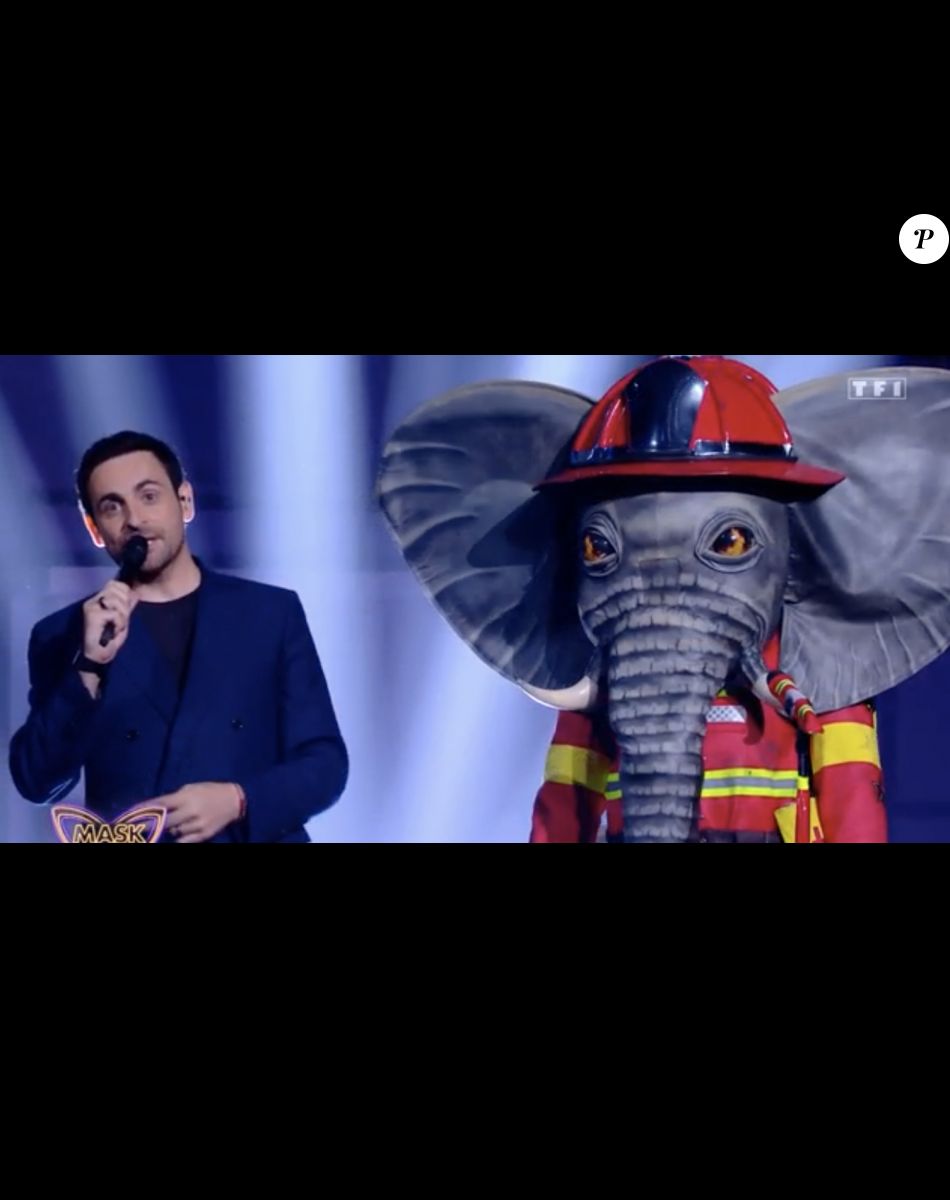 Mask Singer 4 - L'Eléphant démasqué : pas de surprise au moment de ...