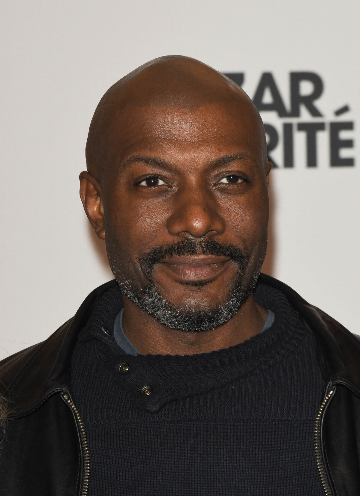 Photo : Harry Roselmack à l'avant-première de série télévisé TF1 "Le ...