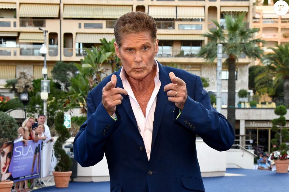 David Hasselhoff pose pour le programme TV Ze Network au 61e Festival ...