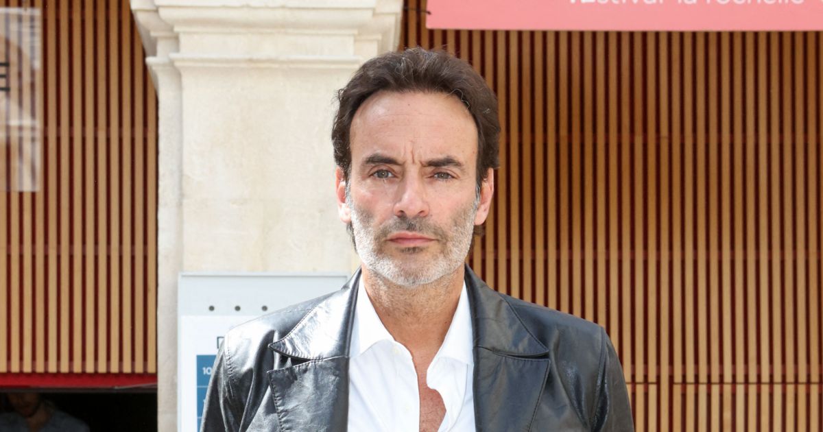 Exclusif - Anthony Delon représentait son père lors de la projection du ...