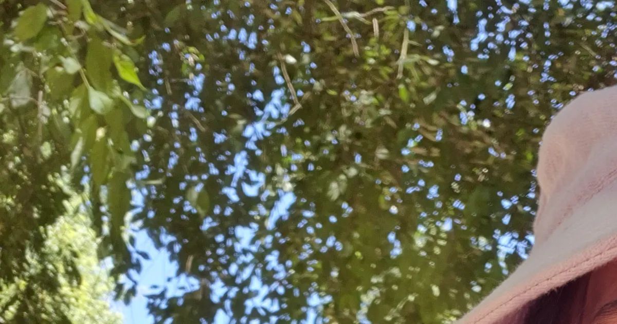 Angèle, la fille de Miou-Miou et Patrick Dewaere adoptée par Julien Clerc - Purepeople