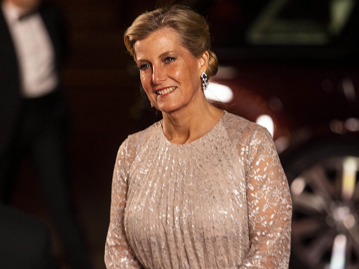 Photo : Sophie, comtesse de Wessex, lors du spectacle annuel "Royal ...