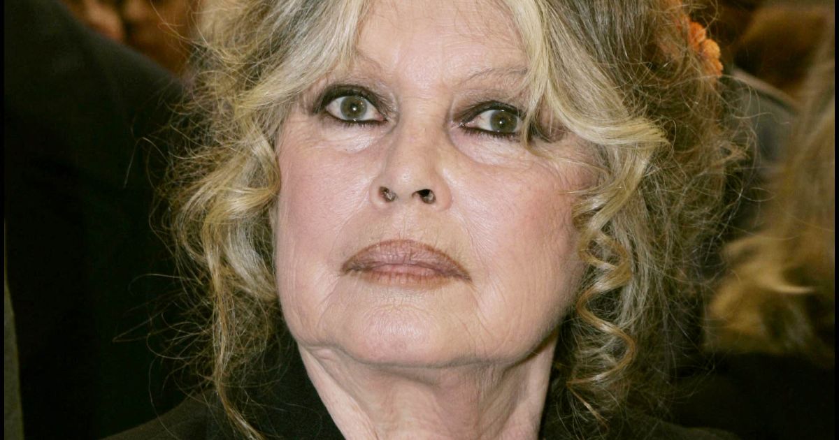 Johnny Hallyday et Brigitte Bardot au Noël des animaux 2004 à Levallois ...