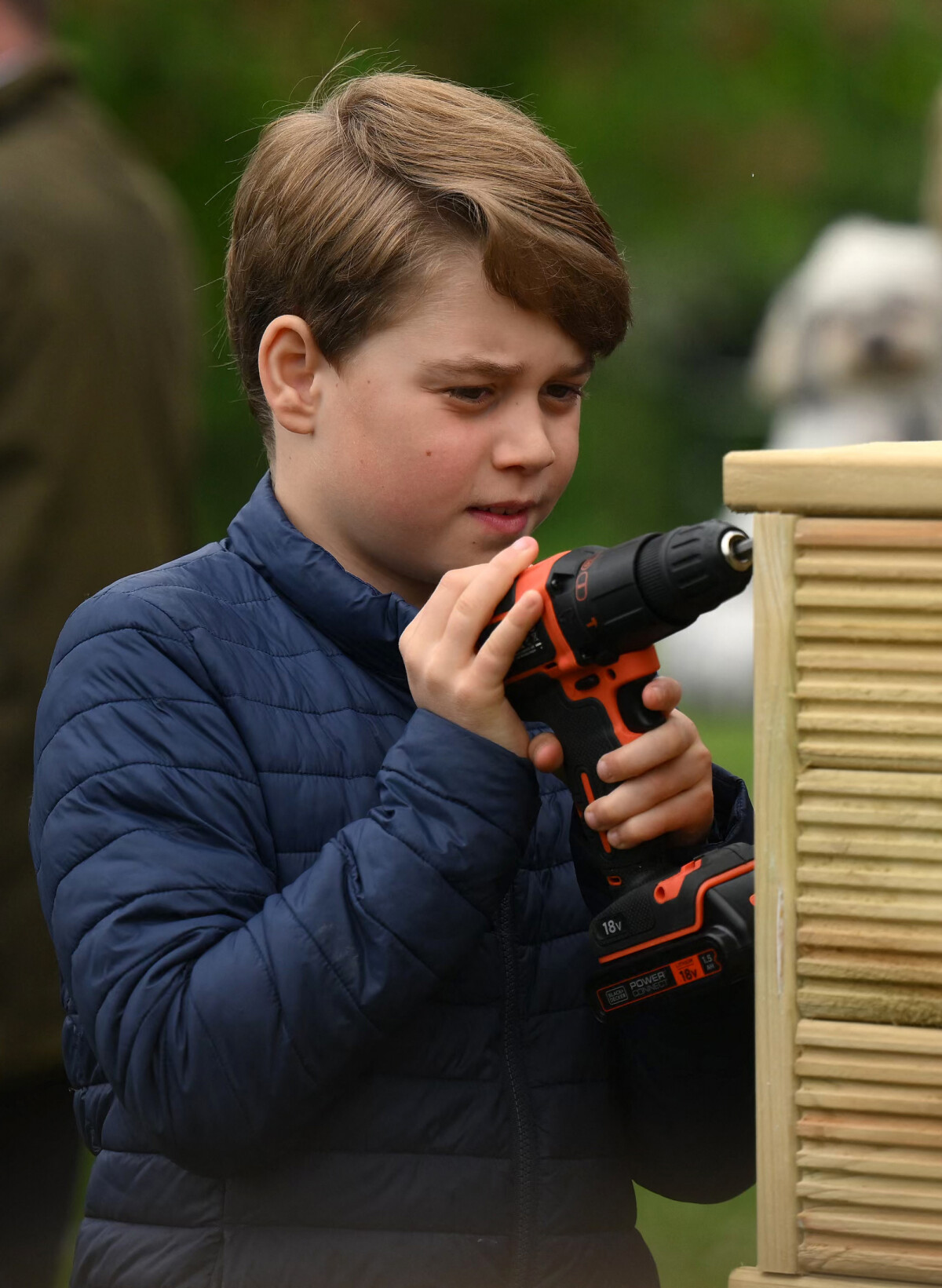 Photo : Daniel Leal_72085004 - Le prince William, prince de Galles, et ...