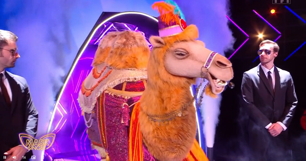 Mask Singer 5 : "Qu'on dégage enfin le Chameau"... polémique avant la ...
