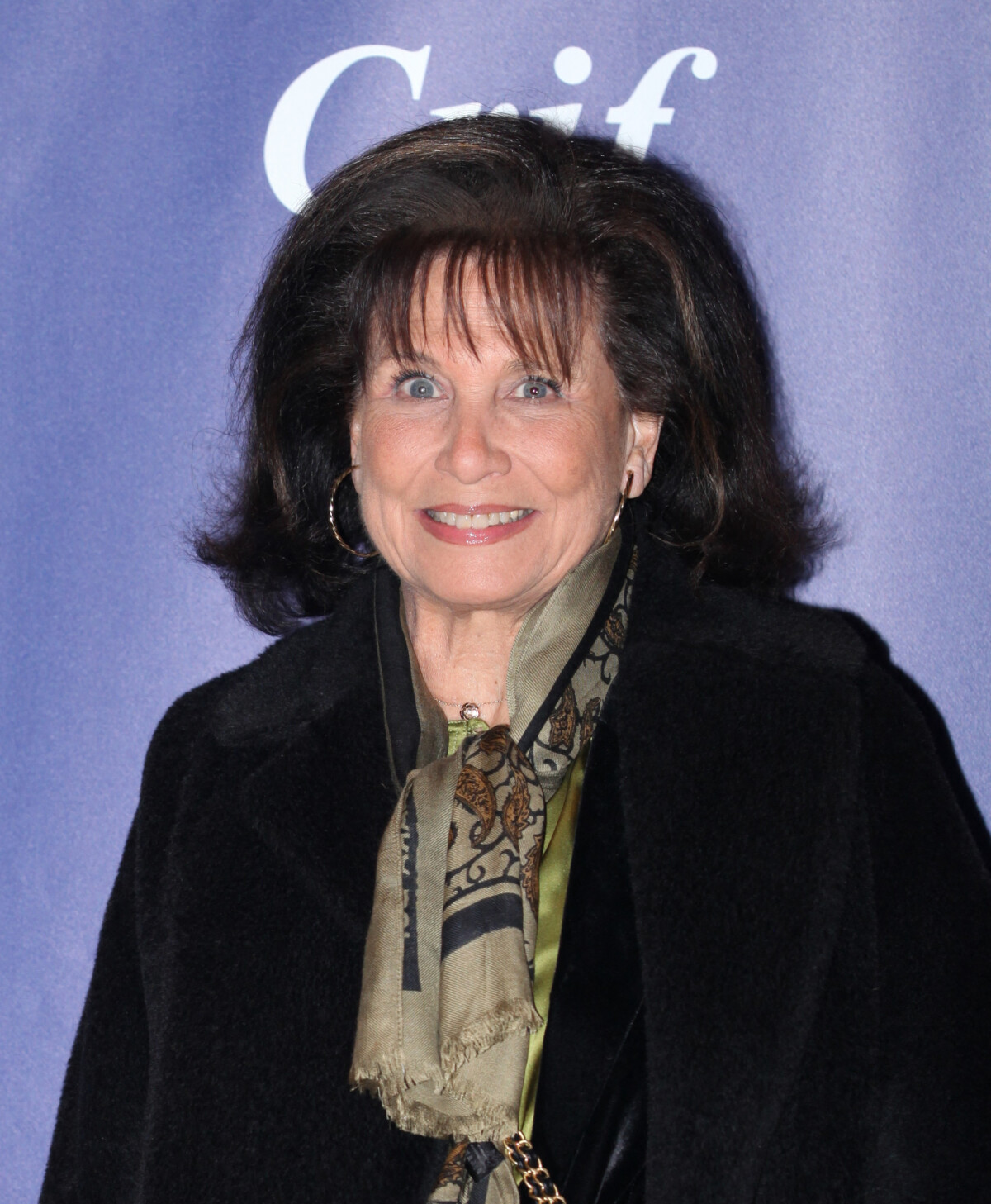 Photo : Anne Sinclair - Photocall du 37ème dîner annuel du conseil ...