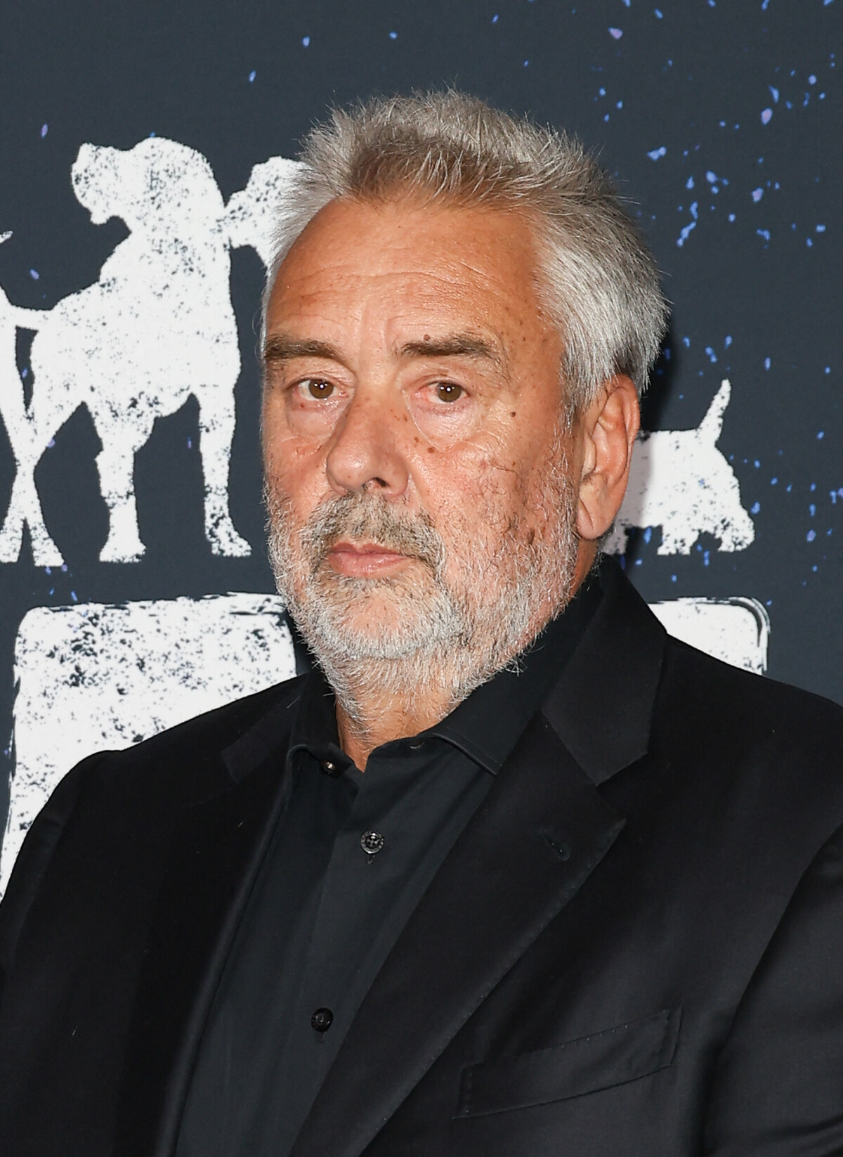 Photo : Luc Besson - Avant-première du film "Dogman" au cinéma UGC ...