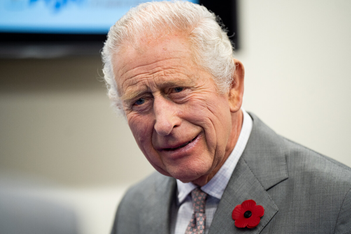 Vidéo : Charles III à l'honneur : Un nouveau portrait officiel dévoilé ...
