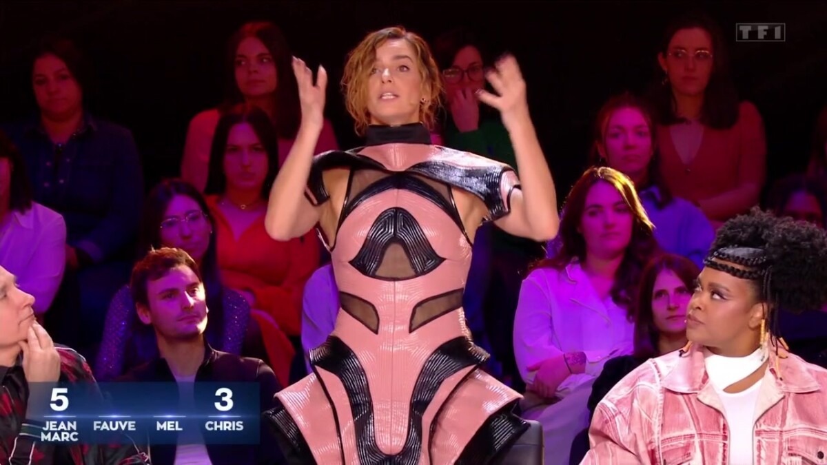 Photo : Fauve Hautot a choqué les téléspectateurs avec sa tenue ...