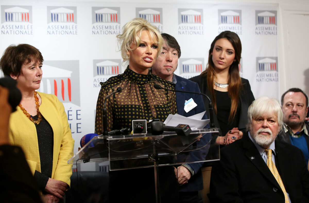 Photo : Pamela Anderson, Delphine Wespiser, Paul Watson (fondateur de ...