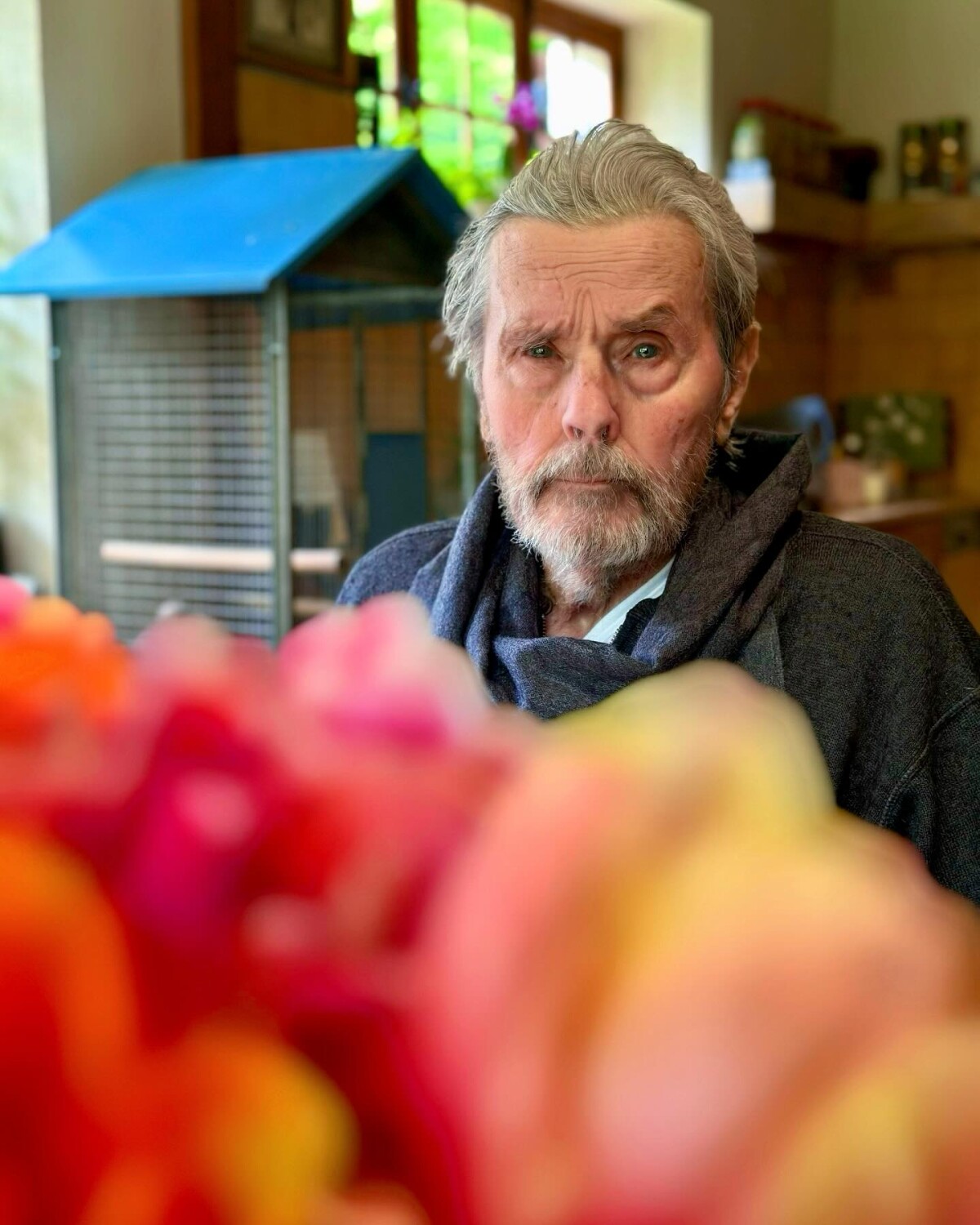 Photo : dans son domaine de Douchy. Alain Delon pris en photo par sa ...