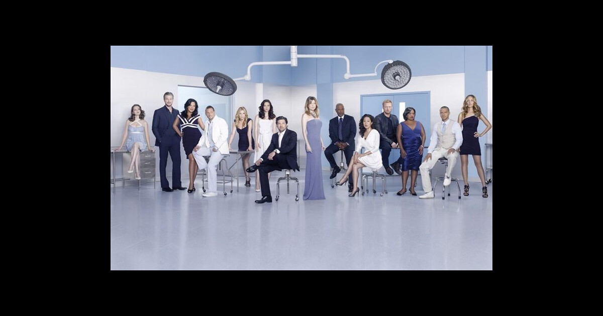 Grey's Anatomy : Le nouveau chef du Seattle Grace Hospital révélé - Ode ...