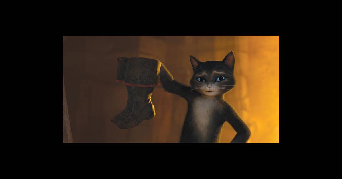 La bande-annonce du Chat Potté - Purepeople