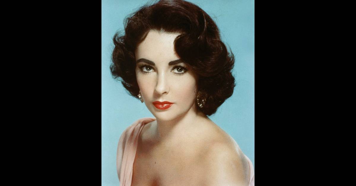 La star Elizabeth Taylor en 1953. - Purepeople