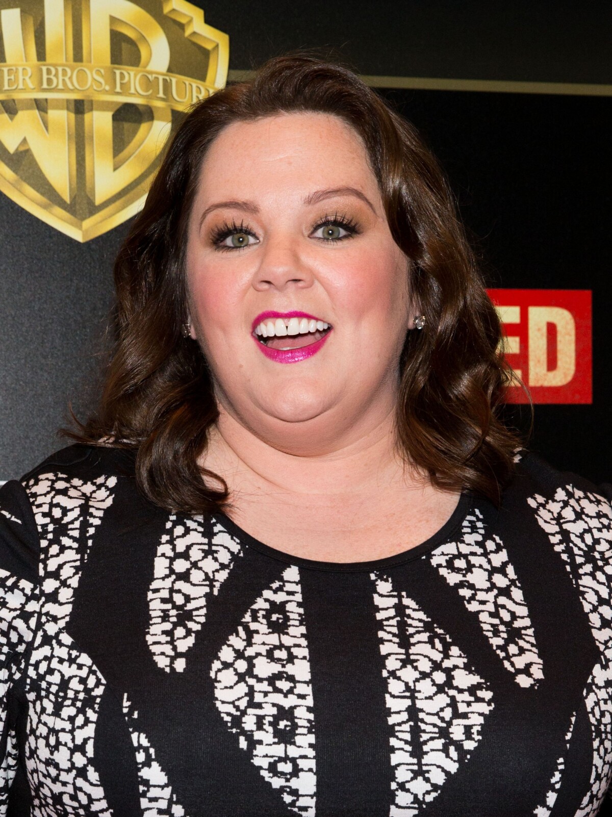 Photo : Melissa McCarthy au panel Warner Bros lors CinemaCon 2014 au ...