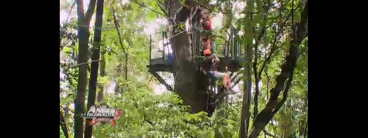 Photo : Session accrobranche dans Les Anges de la télé-réalité 6 sur ...