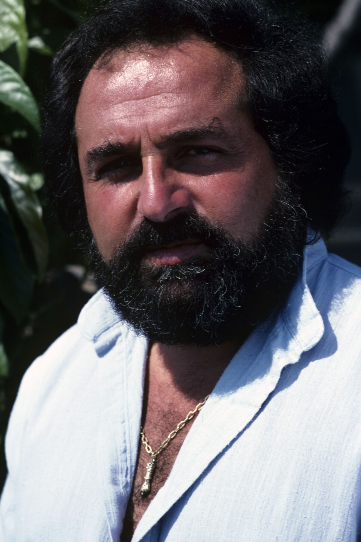 Photo : Portrait de Richard Anthony dans sa maison californienne en ...