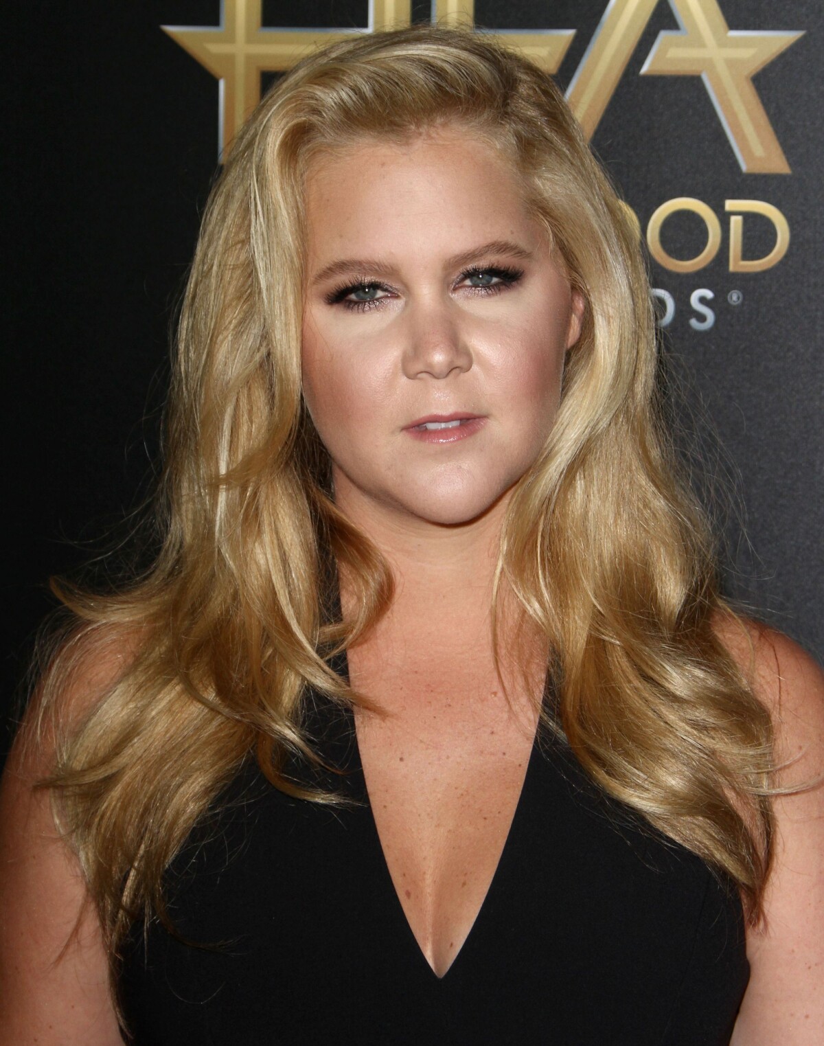 Photo : Amy Schumer - 19e cérémonie annuelle des Hollywood Film Awards ...